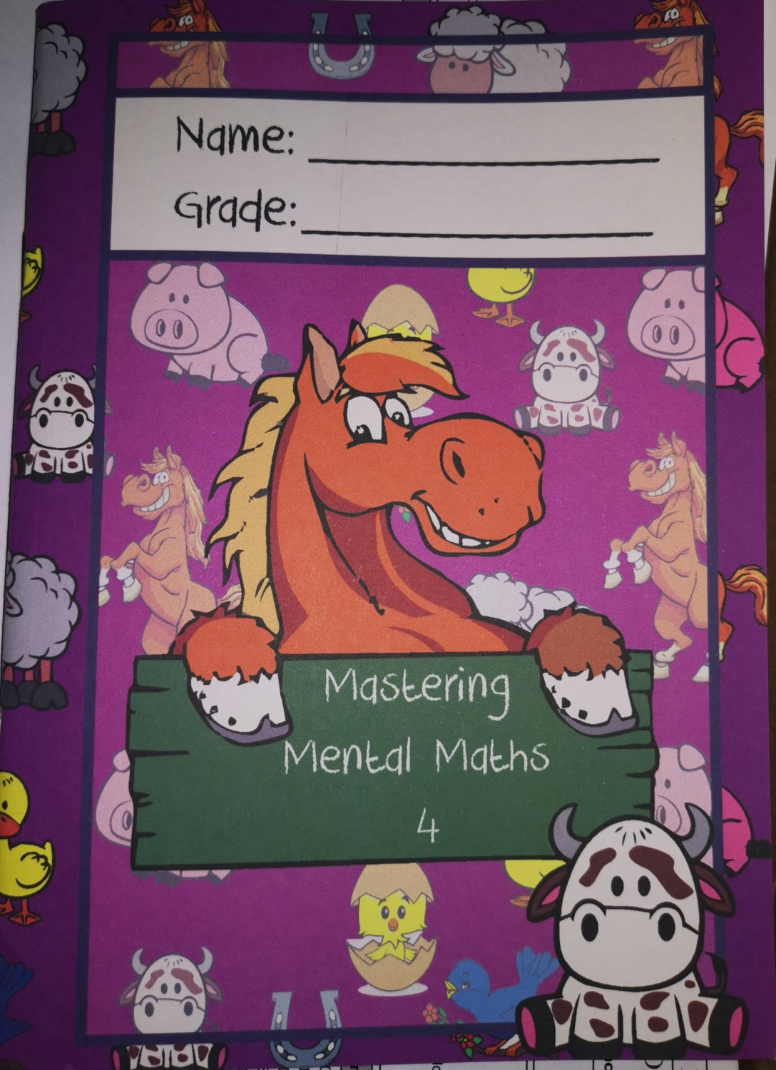 Mastering Mental Maths 4 (MR) 9781869260590 - Caxton Books
